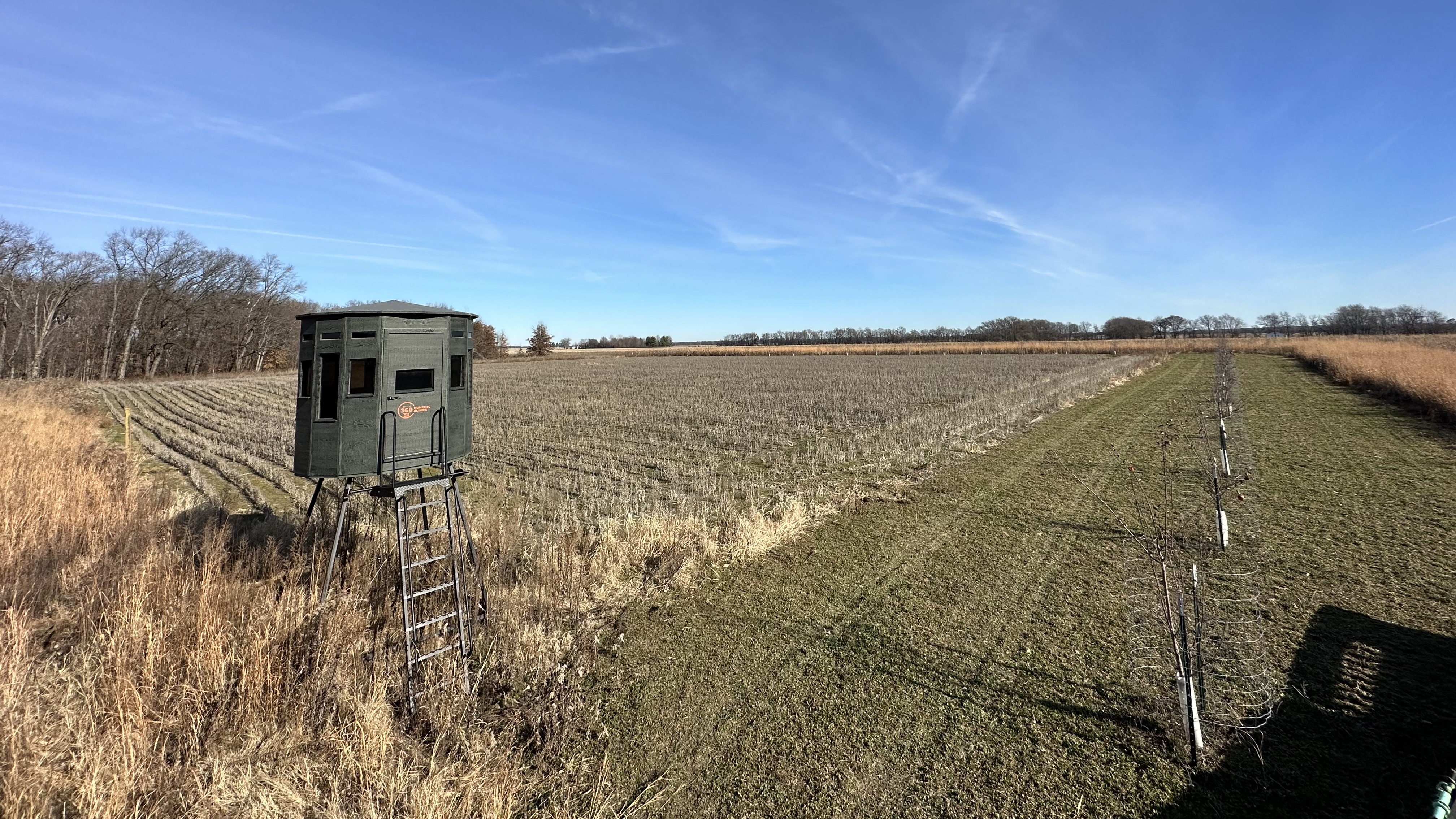 Wildlife Management Trees